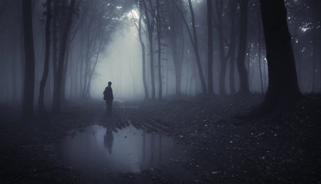 forest | Jared Flynn Stonework